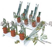 FN5-12户内高压负荷开关 负荷开关FN5-12/630A-高压负荷开关