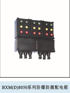BXM（D）8050系列防爆防腐配电箱（ⅡC）-防爆 防腐 配电箱-