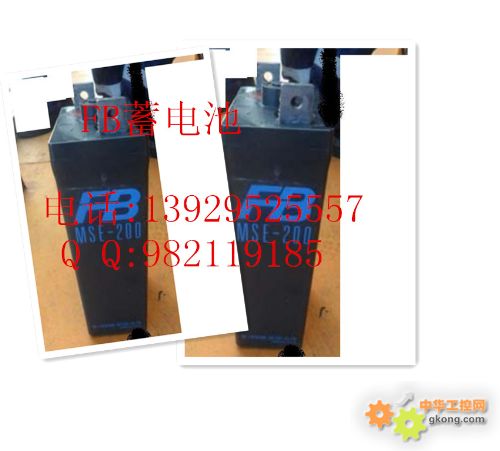 FB蓄电池MSE-200-MSE-200 FB蓄电池 古河蓄电池-