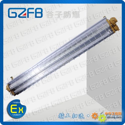 吊链式隔爆型荧光灯(双管) 隔爆型荧光灯 防爆荧光灯 双管隔爆灯