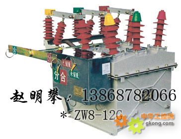 ZW8-12(G)系列真空断路器-ZW8-12G ZW8-12G 户外高压真空断路器-